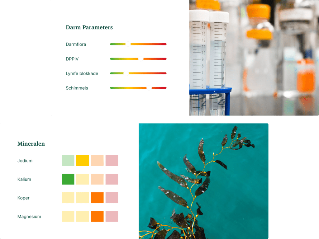 Ontdek de kracht van de EMB Test voor therapeuten - EMB Test